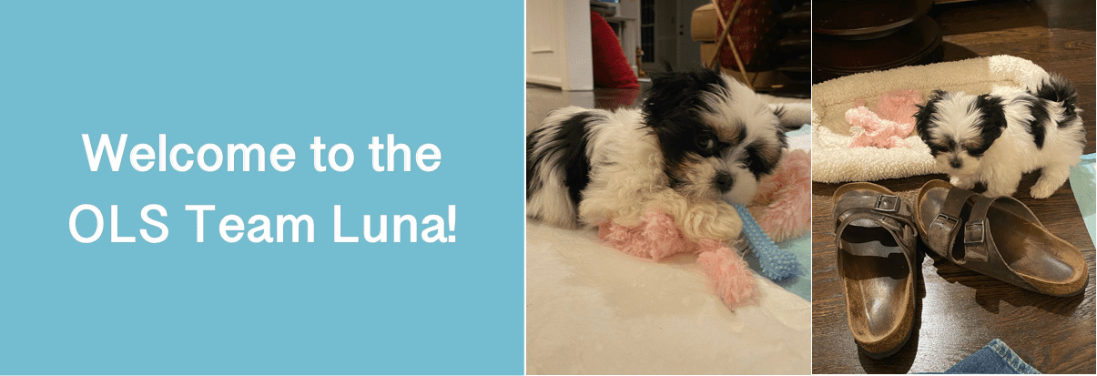 Help us welcome Luna to the team! | Office Liquidation Solutions